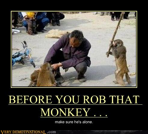 Memebase - monkey - Page 3 - All Your Memes In Our Base - Funny Memes ...