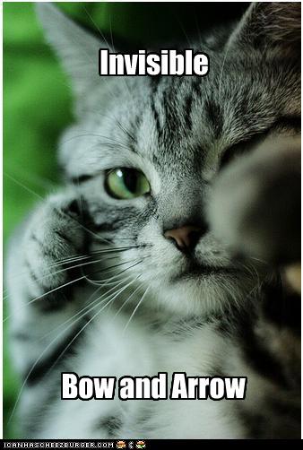 I Can Has Cheezburger? - invisible - Page 7 - Funny Animals Online ...