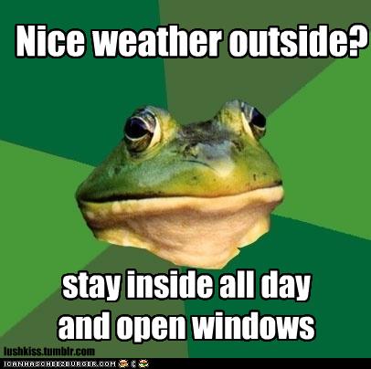 Foul Bachelor Frog: Live the Breeze - Memebase - Funny Memes