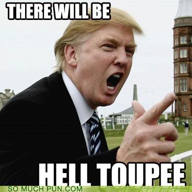 Puns - toupee - Funny Puns - Pun Pictures - Cheezburger