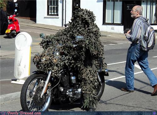 Bad to the Bark - Poorly Dressed - fashion fail