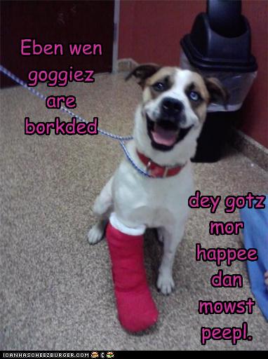 Still smilin'! - I Has A Hotdog - Dog Pictures - Funny pictures of dogs ...