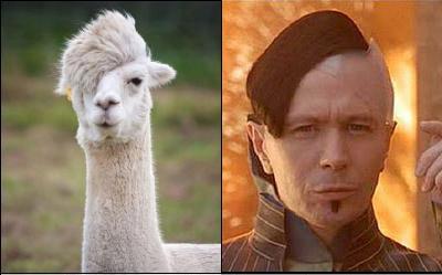 Alpaca Totally Looks Like Gary Oldman as Zorg - Totally Looks Like