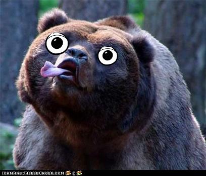 Herp Derp Bear