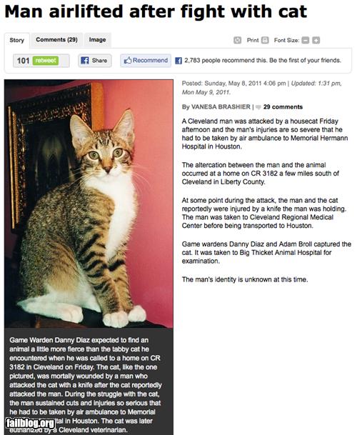 Probably Bad News: Man Vs Cat - FAIL Blog - Funny Fails