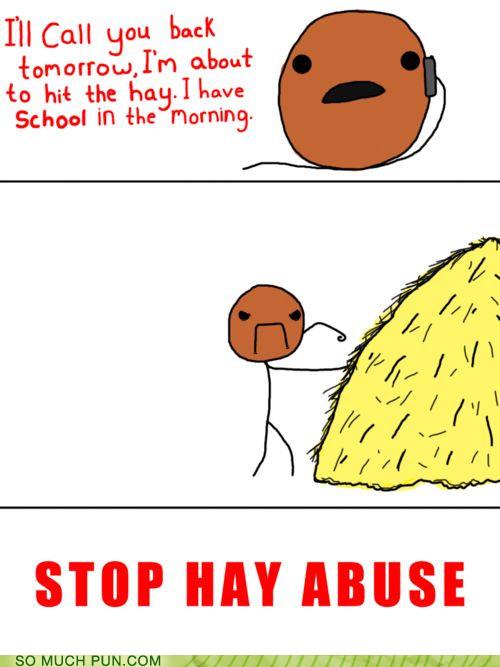 Puns - hay - Funny Puns - Pun Pictures - Cheezburger