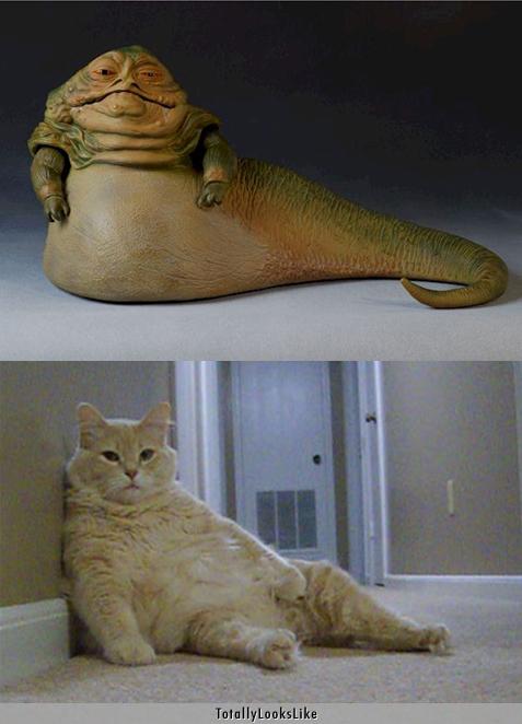 Totally Looks Like - jabba the hutt - Cheezburger