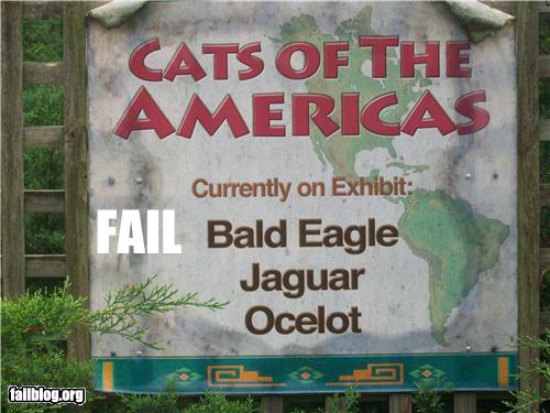 Zoo FAIL - FAIL Blog - Funny Fails