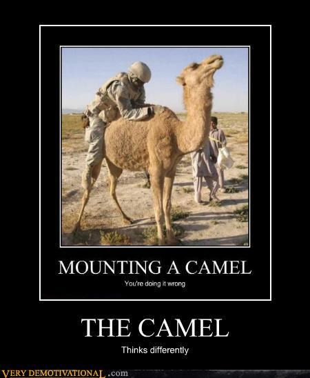 THE CAMEL - Very Demotivational - Demotivational Posters | Very ...