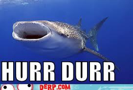 Derp - shark - Derp Face Derps - hurr durr derp face - derp - Cheezburger