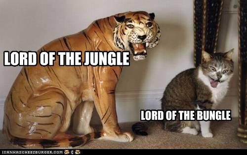 Derp - tiger - Derp Face Derps - hurr durr derp face - derp - Cheezburger