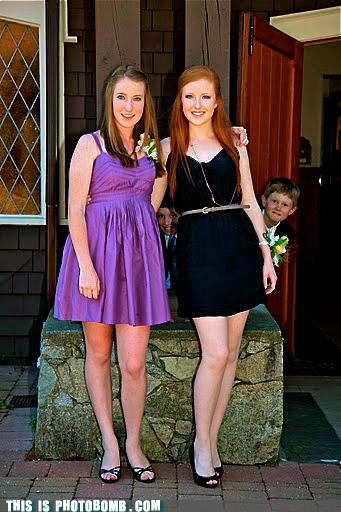 D'Aww, Little Brothers - Photobombs - photobomb that guy