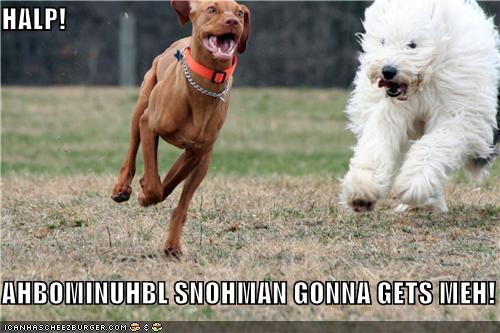 Old English Dog Memes