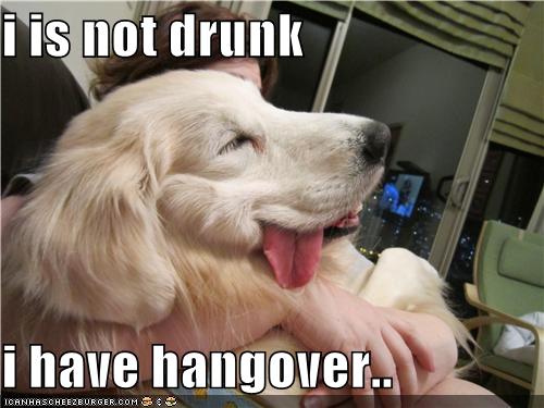 Drunk Puppies Meme