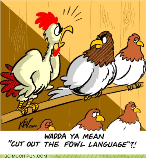 Puns - fowl - Funny Puns - Pun Pictures - Cheezburger