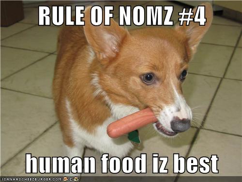 RULE OF NOMZ #4 - I Has A Hotdog - Dog Pictures - Funny pictures of ...