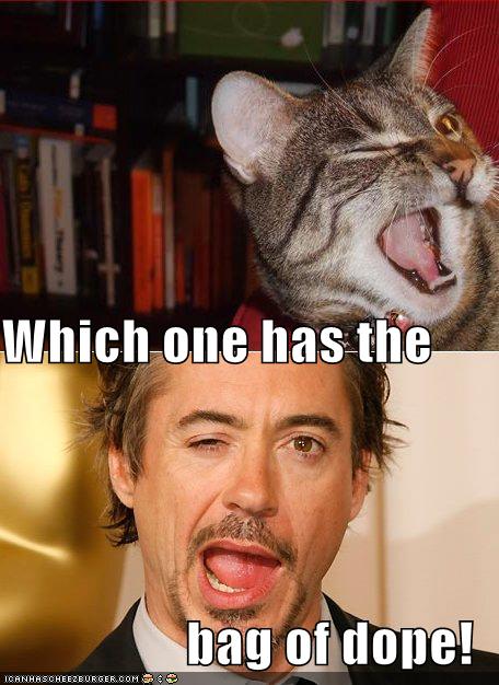 Derp - robert downey jr - Derp Face Derps - hurr durr derp face - derp ...
