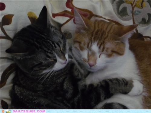 Daily Squee - Cute Animals - Cute Baby Animals - Cute Animal Pictures ...