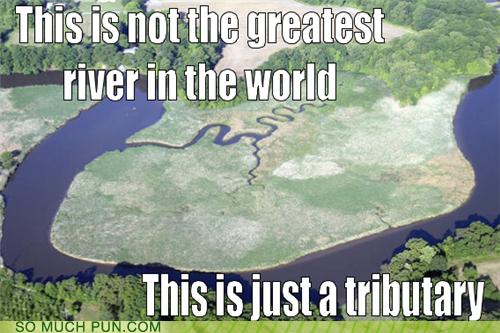 Puns - river - Funny Puns - Pun Pictures - Cheezburger