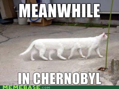 Meanwhile - Memebase - Funny Memes