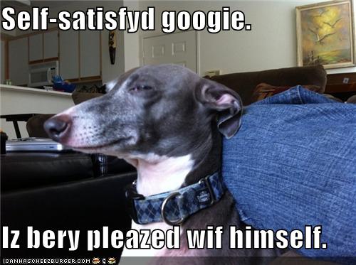 Self-satisfyd googie. - I Has A Hotdog - Dog Pictures - Funny pictures ...