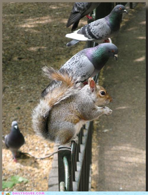 Daily Squee - Cute Animals - Cute Baby Animals - Cute Animal Pictures ...