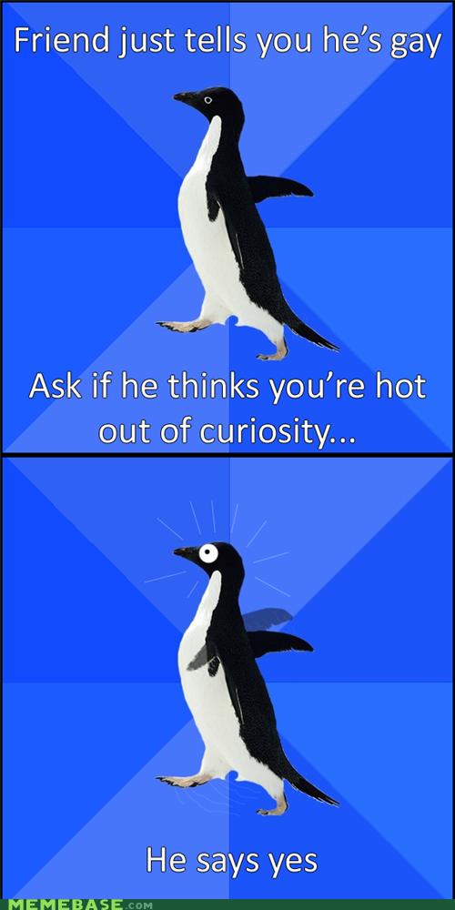 Extremely Awkward Penguin - Memebase - Funny Memes
