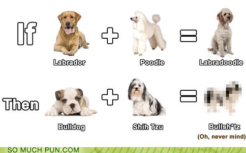 Puns - addition - Funny Puns - Pun Pictures - Cheezburger