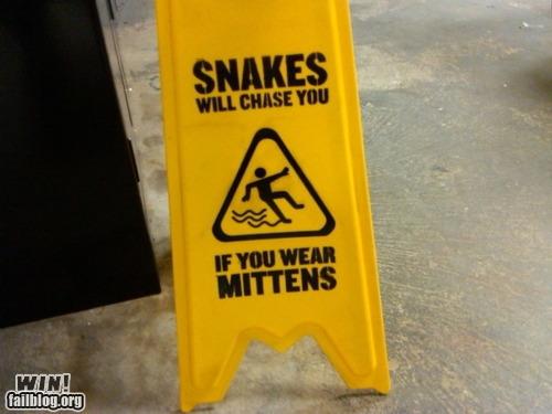 Hacked IRL: Mittens are dangerous! - WIN! - epic win photos