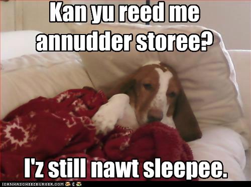 I Has A Hotdog - bedtime - Funny Dog Pictures | Dog Memes | Puppy ...