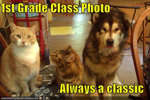 1st Grade Class - I Has A Hotdog - Dog Pictures - Funny pictures of ...