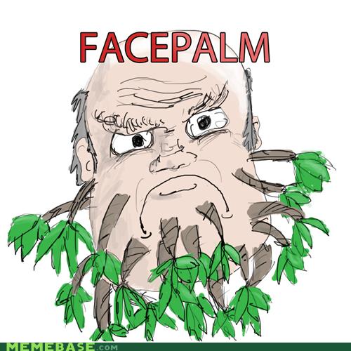 Puns - Palm Tree - Funny Puns - Pun Pictures - Cheezburger