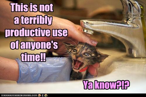 I mean...really! - I Can Has Cheezburger?