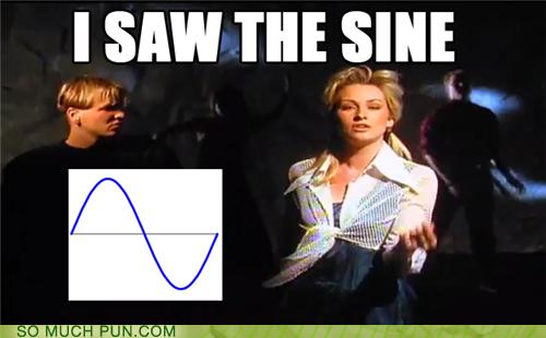 Puns - sine - Funny Puns - Pun Pictures - Cheezburger