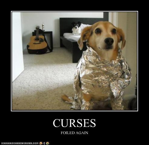 I Has A Hotdog - double meaning - Funny Dog Pictures | Dog Memes ...