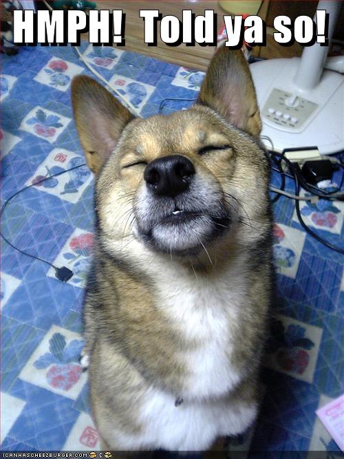 HMPH! - I Has A Hotdog - Dog Pictures - Funny pictures of dogs - Dog ...