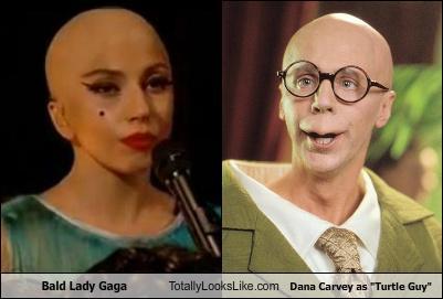 Memebase - bald - Page 3 - All Your Memes In Our Base - Funny Memes ...