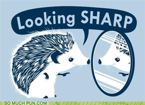 Puns - hedgehog - Funny Puns - Pun Pictures - Cheezburger