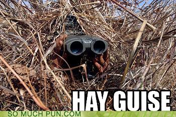 Puns - hay - Funny Puns - Pun Pictures - Cheezburger