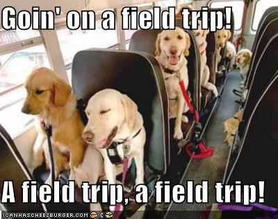 Goin' on a field trip! - I Has A Hotdog - Dog Pictures - Funny pictures ...