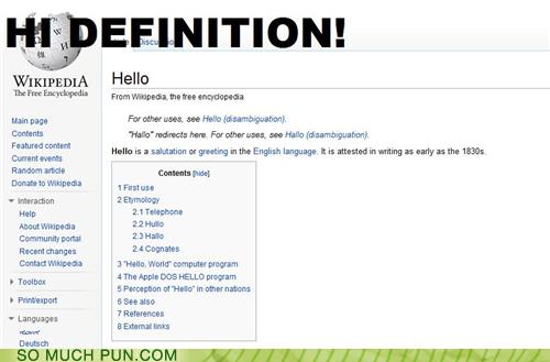 Puns - high - Funny Puns - Pun Pictures - Cheezburger