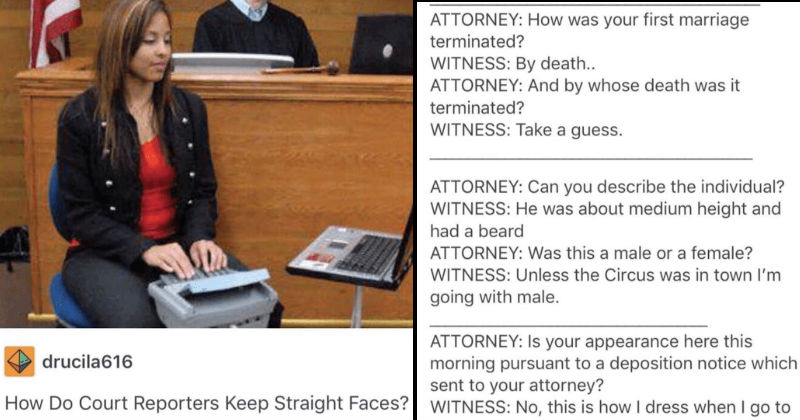 Funny Excerpts From Court Reporters That Are Criminally Ridiculous ...