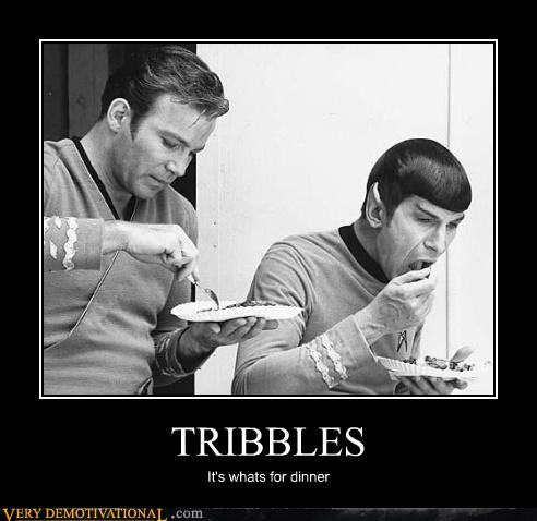 Memebase - tribbles - All Your Memes In Our Base - Funny Memes ...