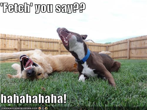 'Fetch' - I Has A Hotdog - Dog Pictures - Funny pictures of dogs - Dog ...