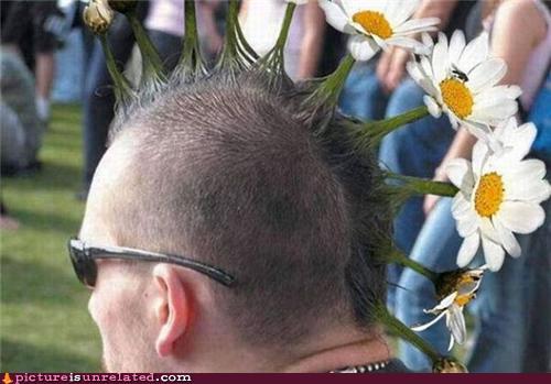 Picture Is Unrelated - mohawk - Funny Pictures That Will Make You Say ...