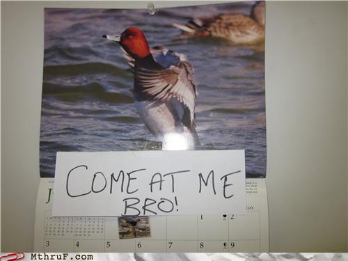 Monday Memes - Monday Thru Friday - job fails