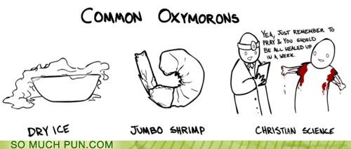 Puns - contradiction - Funny Puns - Pun Pictures - Cheezburger