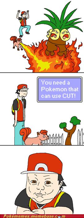 Pokémemes - flareon - Pokemon Memes - Pokémon, Pokémon GO - Cheezburger