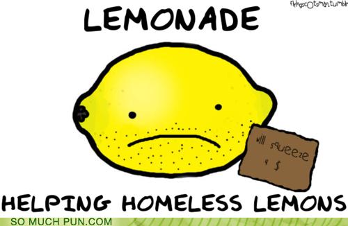 Puns - lemonade - Funny Puns - Pun Pictures - Cheezburger