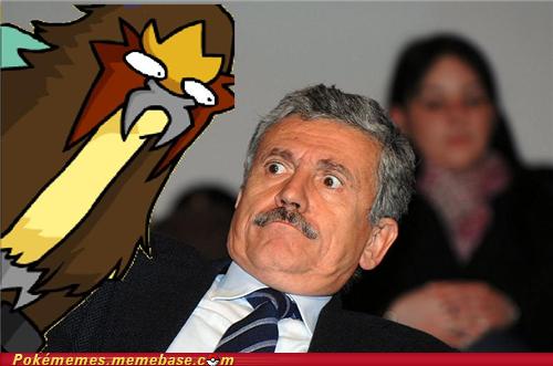 Pokémemes - entei - Pokemon Memes - Pokémon, Pokémon GO - Cheezburger